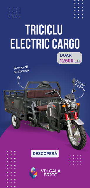 MASINA PENTRU NUCI DIN FONTA GF-0909-S001-G02